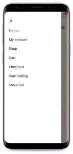 Best AliExpress clone script | B2B & B2C Marketplace script